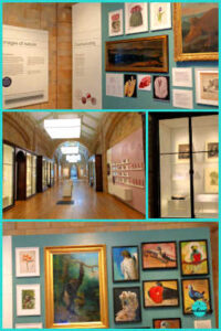 A Visitor’s Guide to Natural History Museum London | Best Tips & Info ...